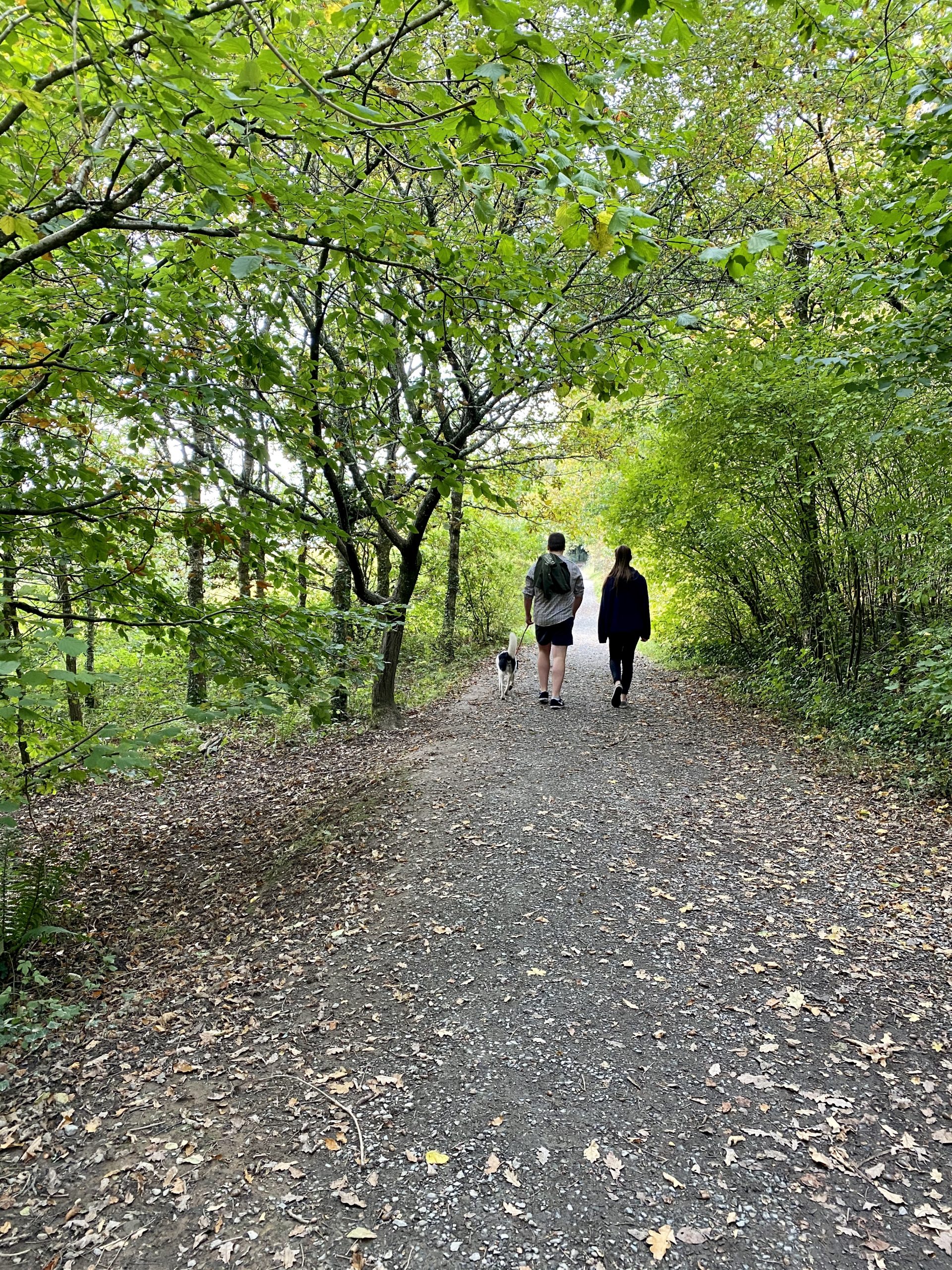 Walking trails at Roadford Lake - Roadford Lake Lodges