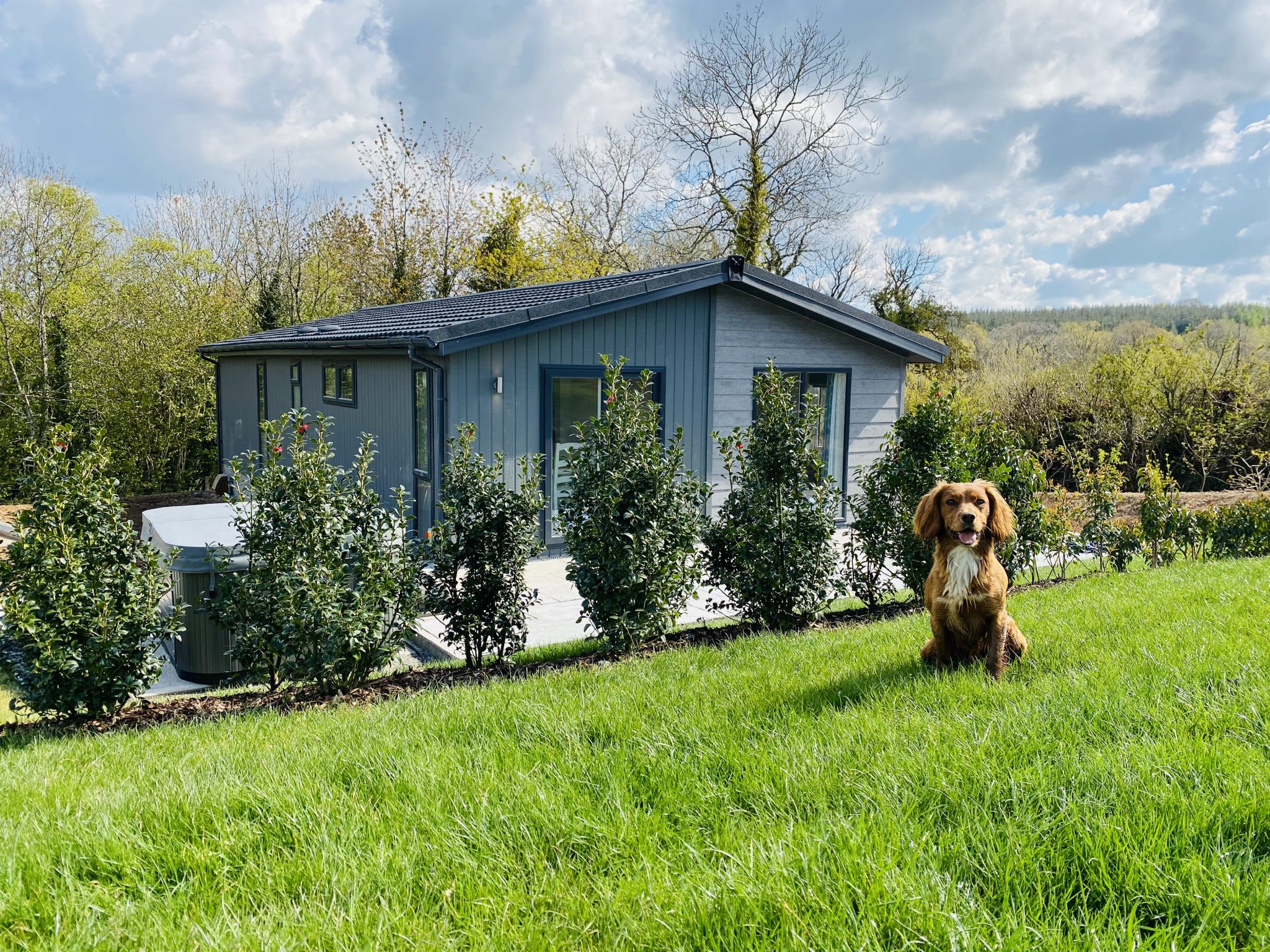 Holiday Lodges To Rent in Devon | Luxury Holiday Lets